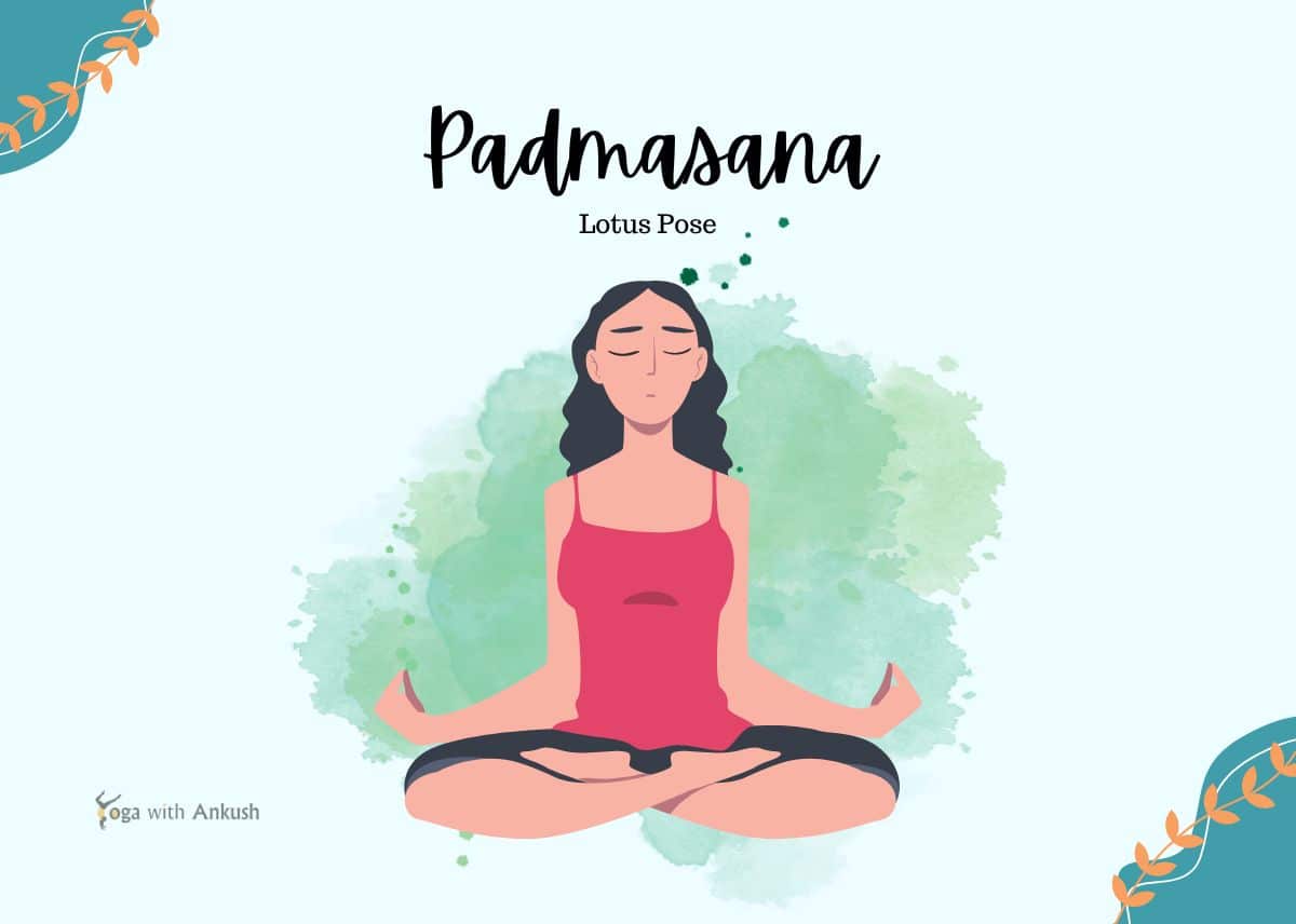 How To Do Lotus Pose (Padmasana): Benefits And Contraindications - Yoga ...